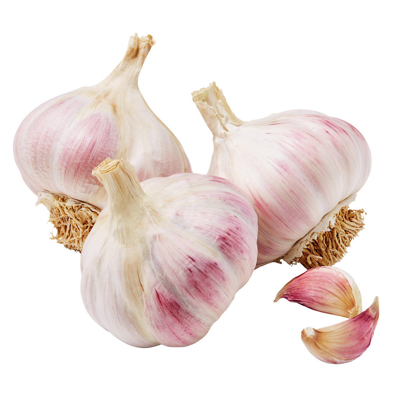 Garlic 3 Pack