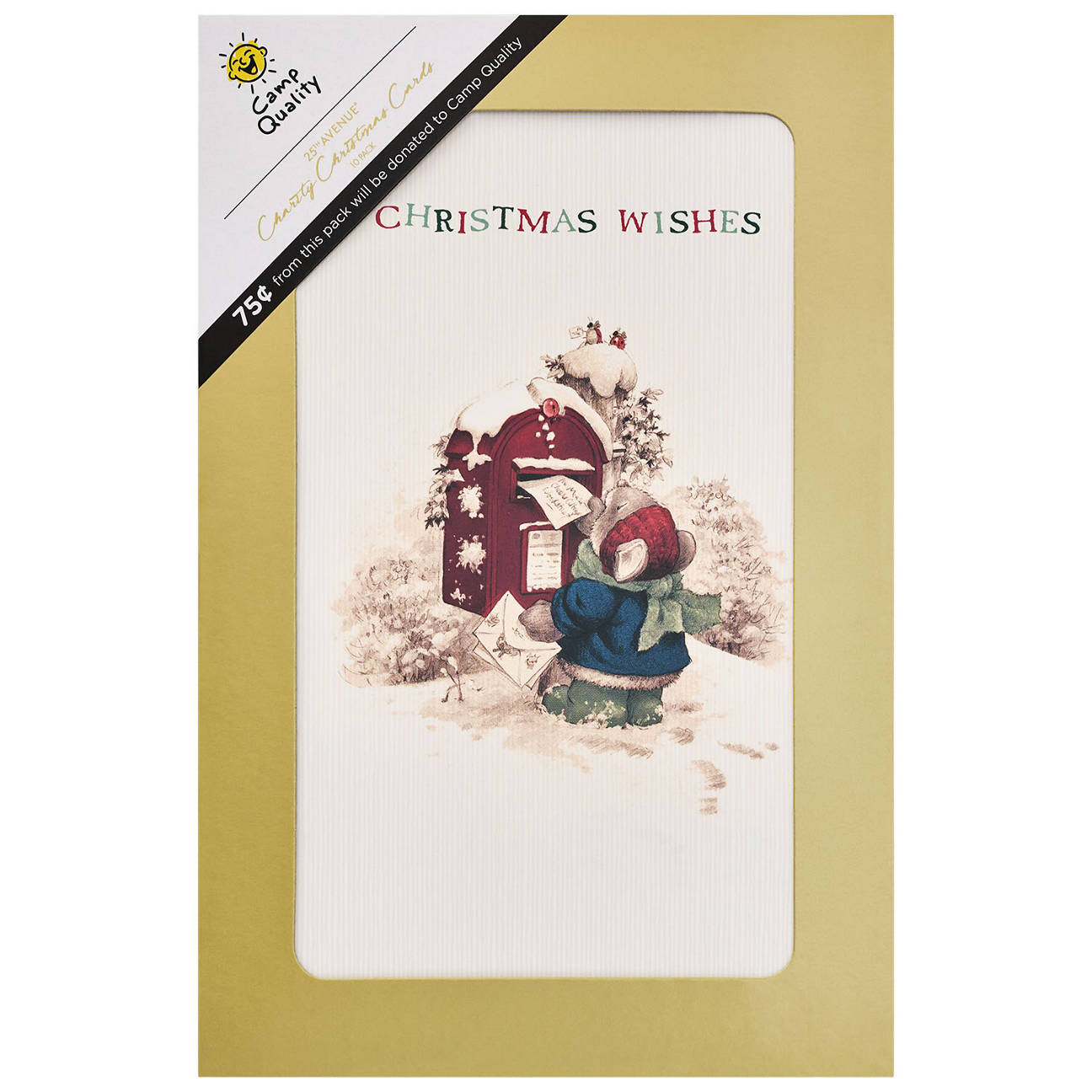Charity Christmas Cards 10 Pack