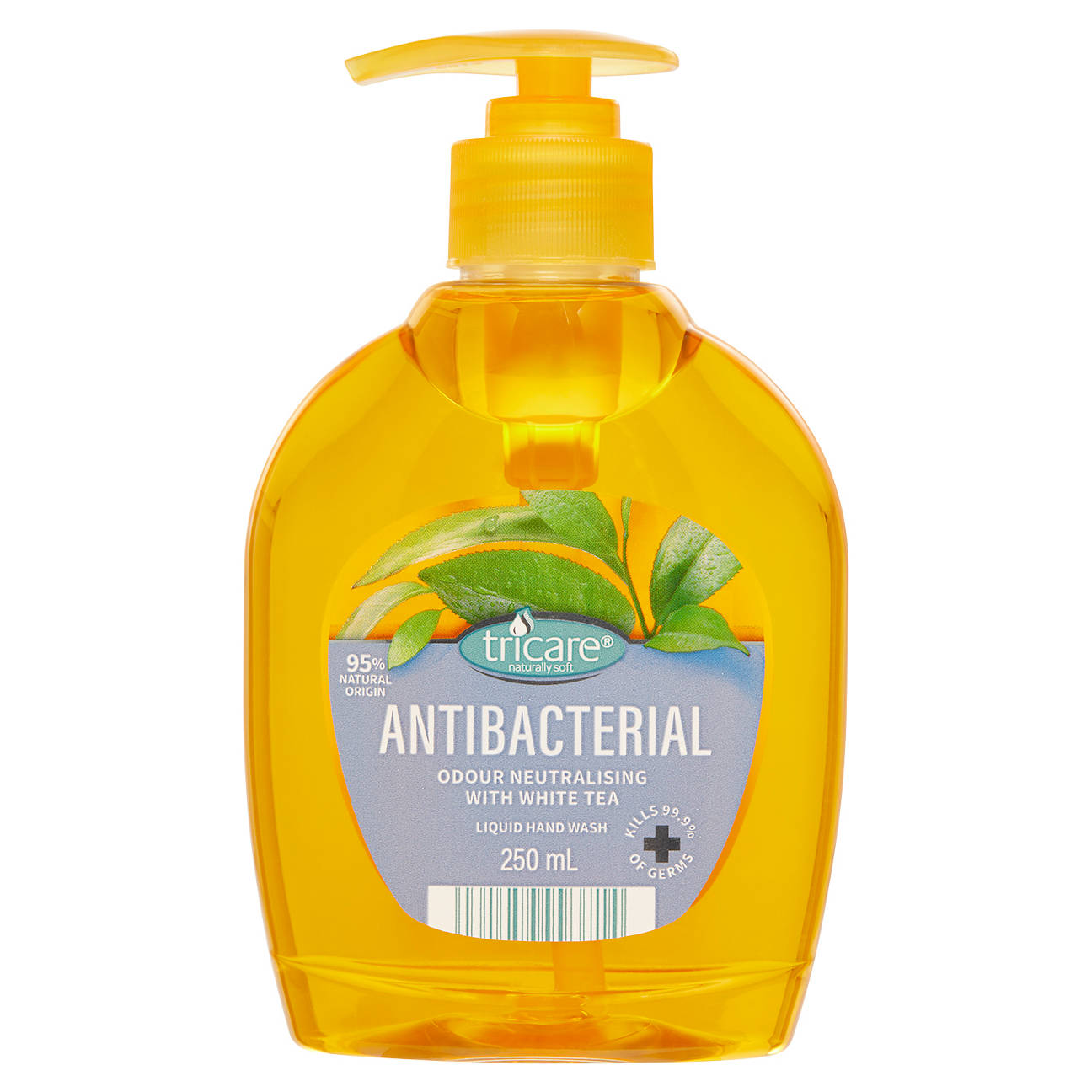 Assorted Liquid Hand Wash 250ml